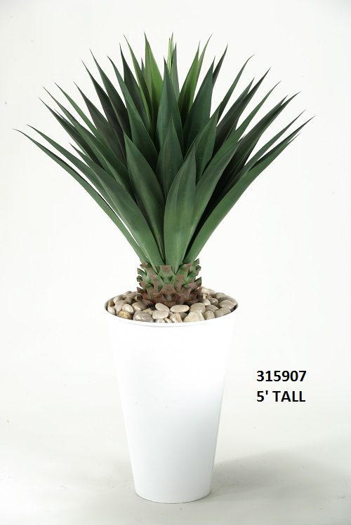 5' Large agave plant in white round metal planter - D&W Silks