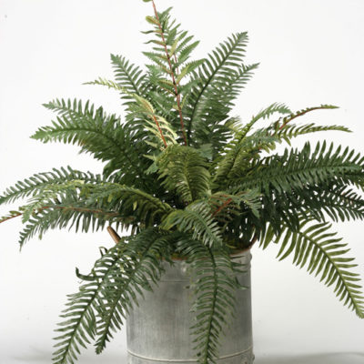 Assorted mini ferns in mini cement sylinder - Set of 4 - D&W Silks