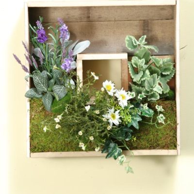 Square Wooden Shadow Box With Mixed Fern And Succulents - D&W Silks