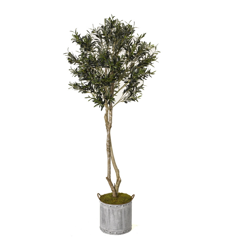 Olive Tree in Round Metal with Handles 6′ – 317425|D&W Silks