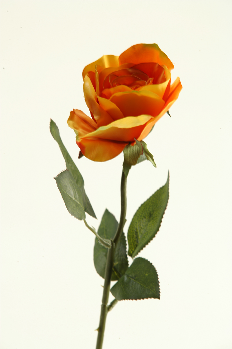 Stems Archives - Page 5 of 29 - D&W Silks