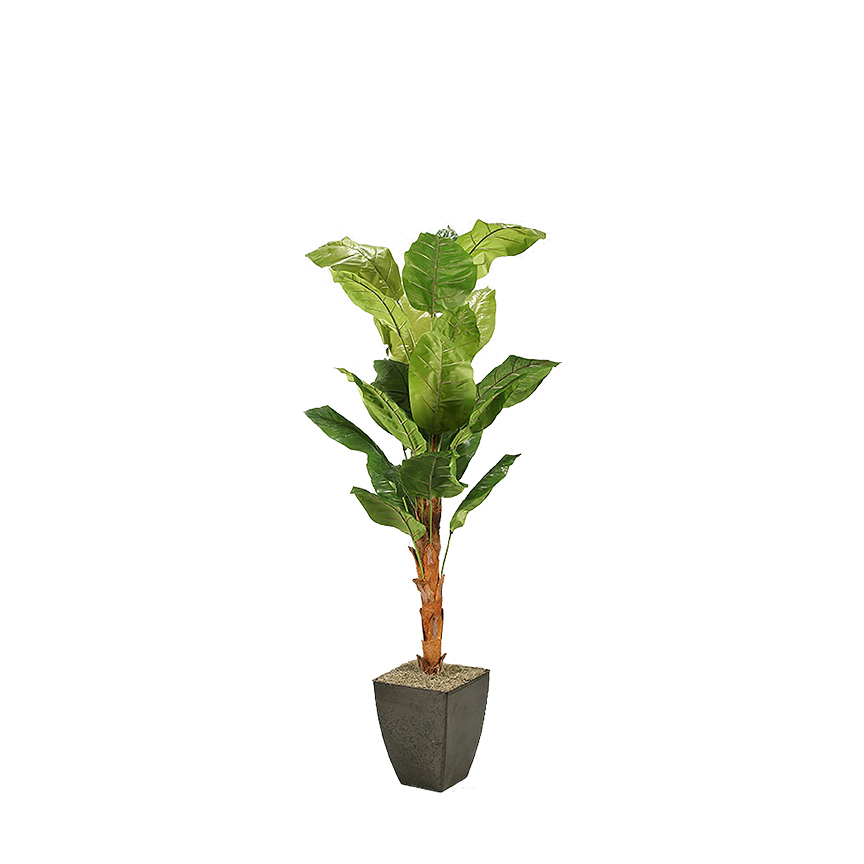 Spath Tree in Cardinal Planter 6.5′ – 316102|D&W Silks