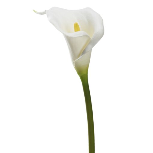 Medium White Calla Lily Stem – FL2131|D&W Silks
