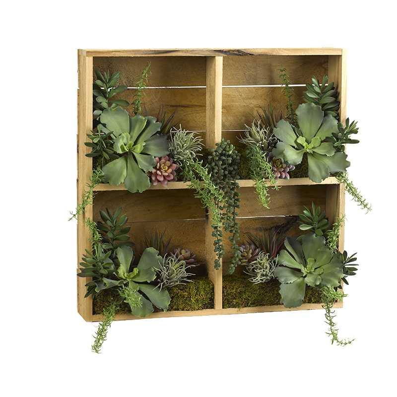 Wooden Shadow Box with Assorted Greenery and Succulents - 191050 - D&W ...