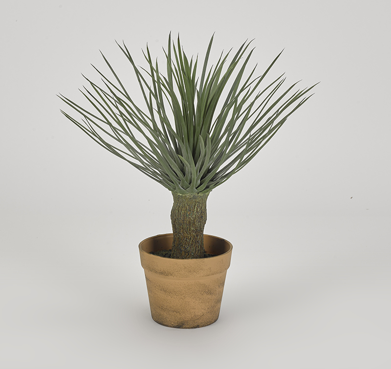 15" Potted whipple yucca plant - D&W Silks