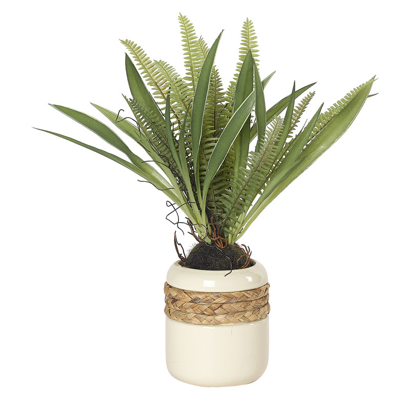 Medium Fern in Small Gemma Planter – 212036|D&W Silks