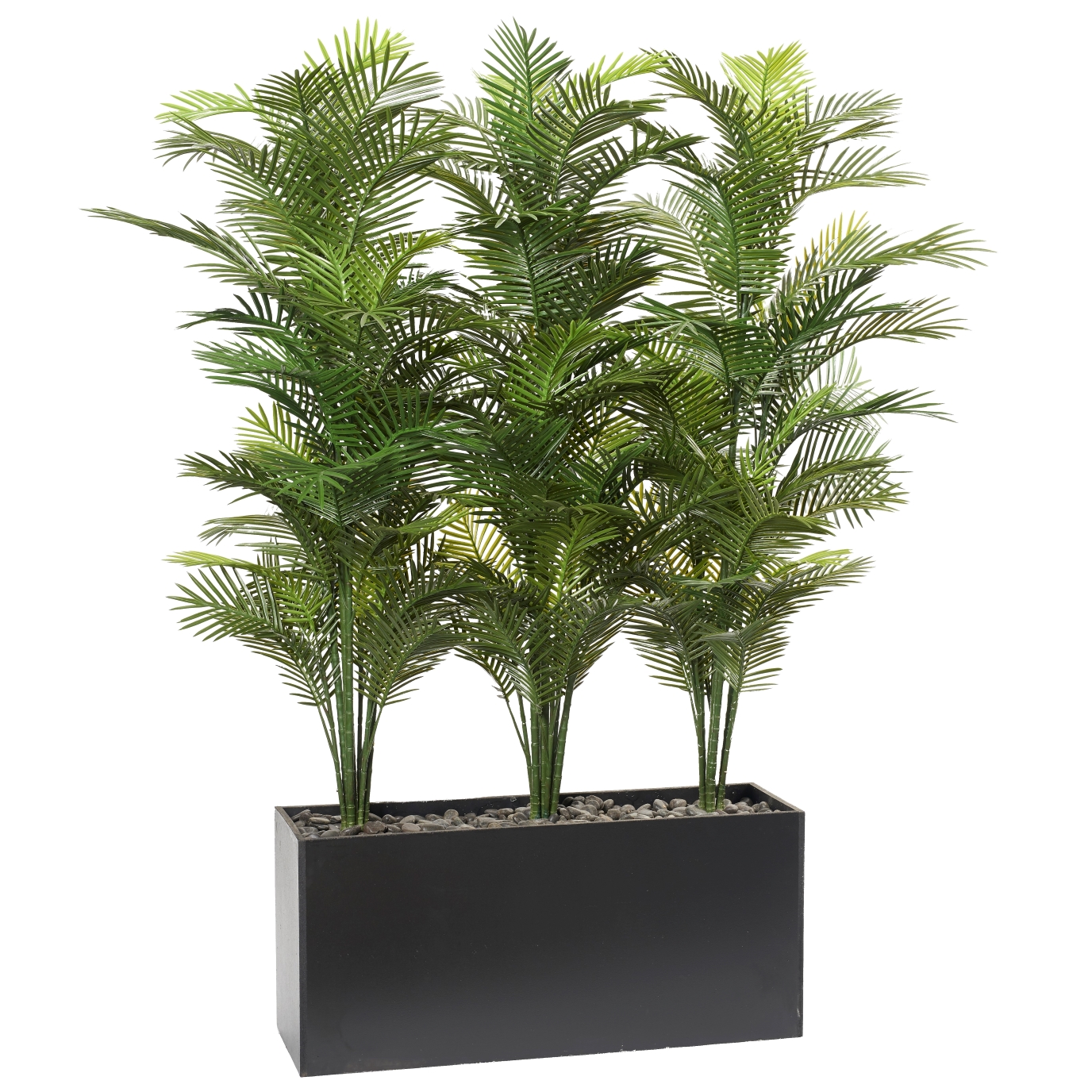 Robellini Palm Screen in Large Prism Planter – 322502|D&W Silks