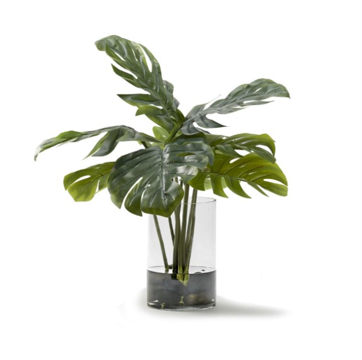 Split Leaf Philo Leaves in Large Glass Cylinder - 229043 - D&W Silks