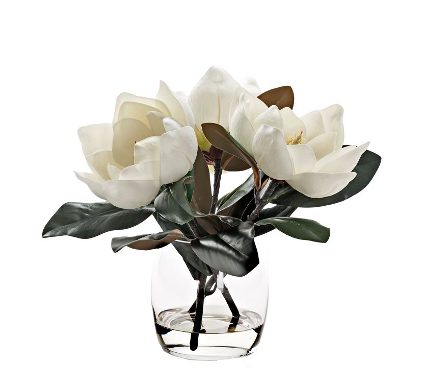White Eva Magnolia Stems in Glass Vase - 231004 - D&W Silks