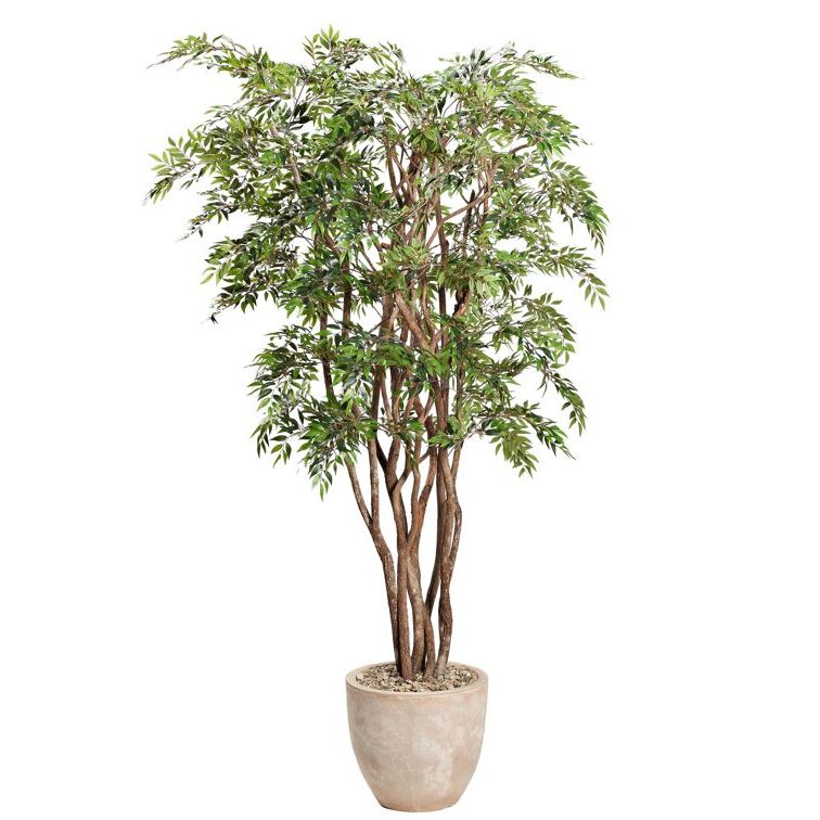 Ruscus Tree in Medium Grove Planter 7.5′ – 322916|D&W Silks