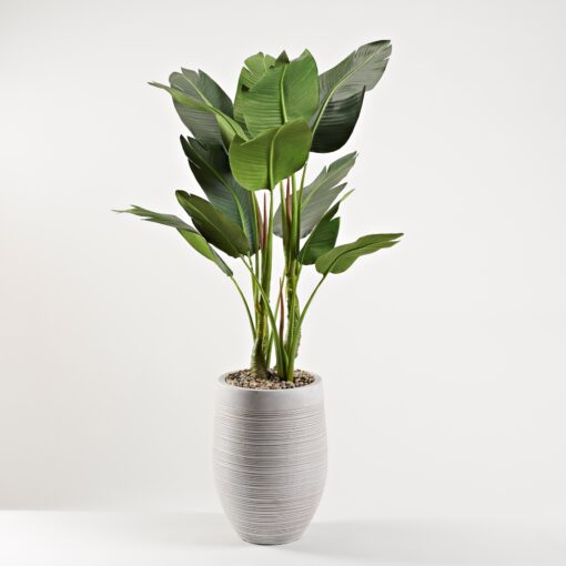Bird of Paradise Tree in Small Kai Planter – 323413|D&W Silks