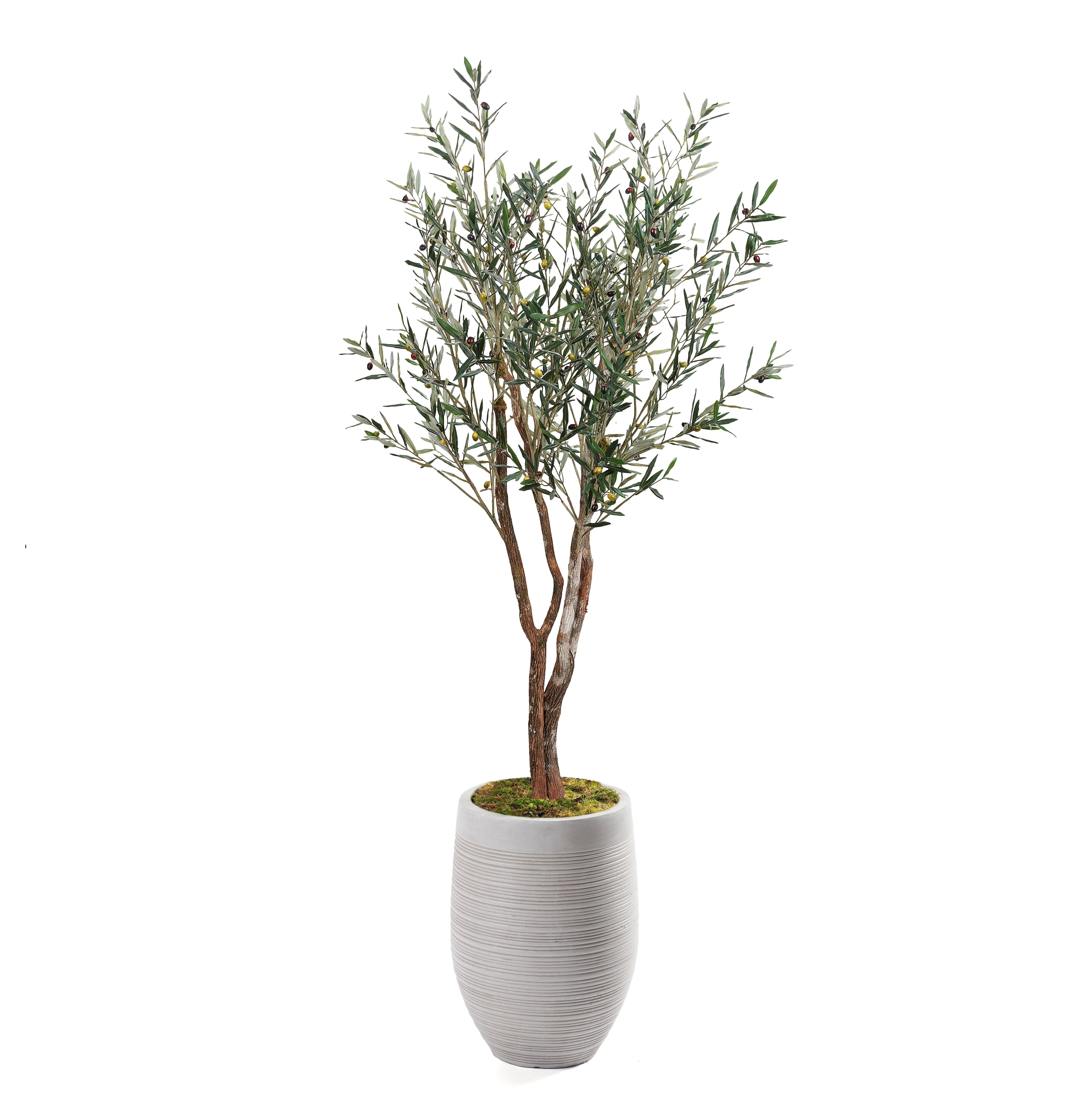 Olive Tree in Medium Kai Planter 8′ – 323114|D&W Silks