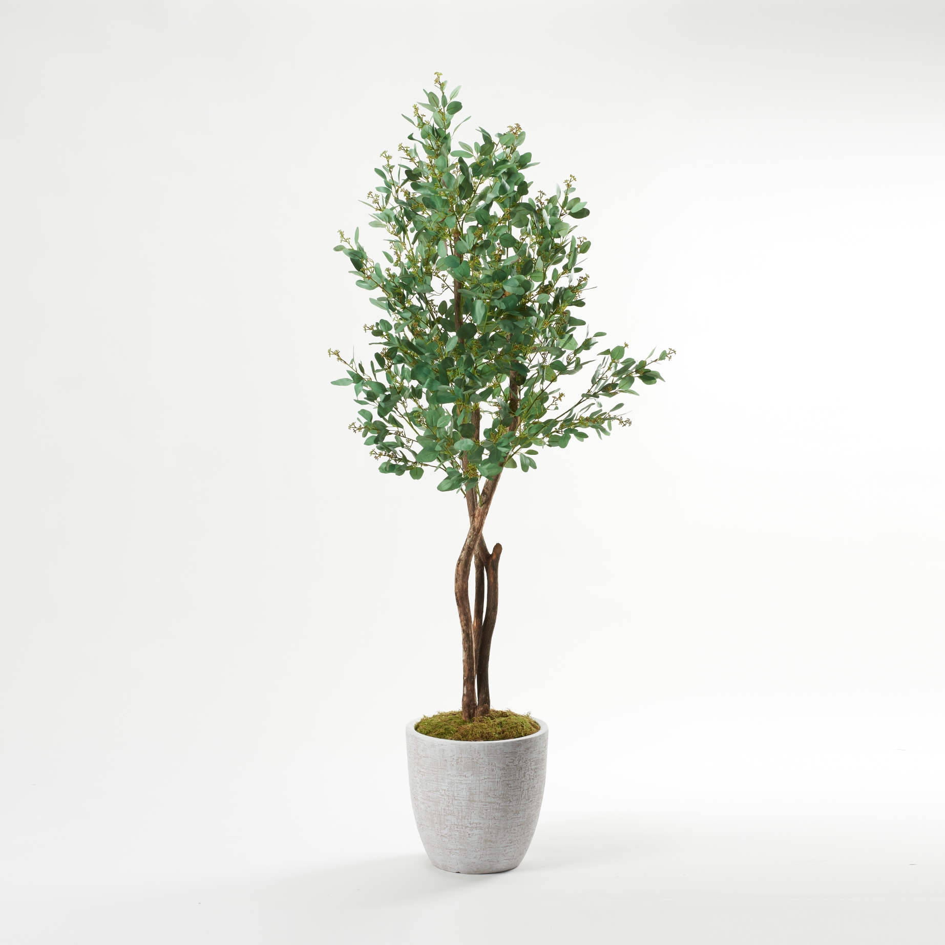 6.5′ Poppel Spray in Large Hudson Planter – 322704|D&W Silks