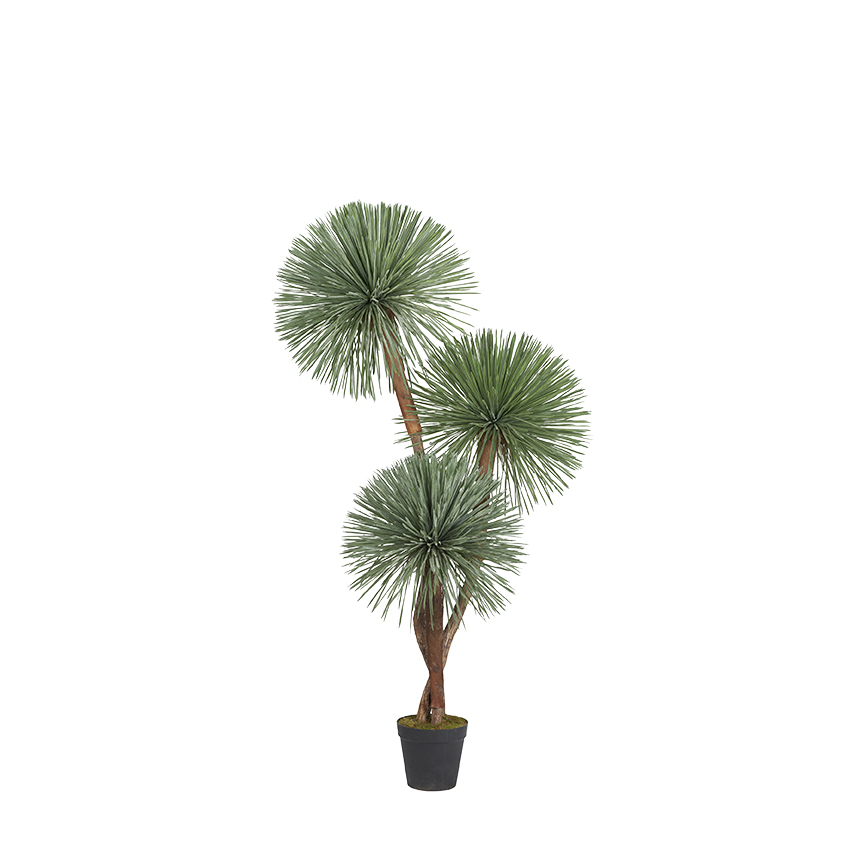 Yucca Rostrata 7′ – 325010|D&W Silks